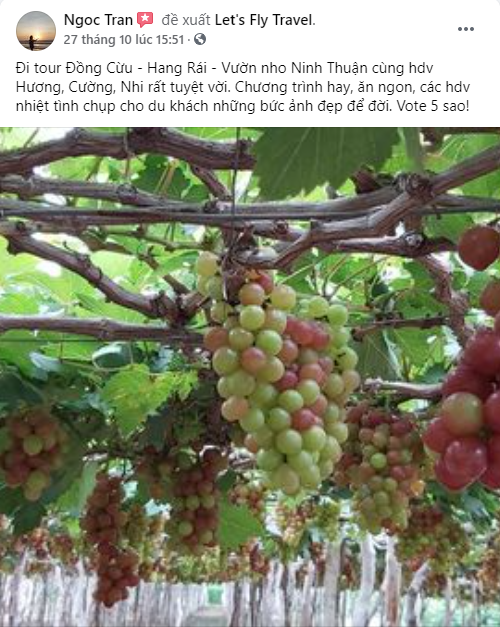 Tour Hang Rái Vĩnh Hy - Giải Nhiệt Mùa Hè [Giá Cạnh Tranh]